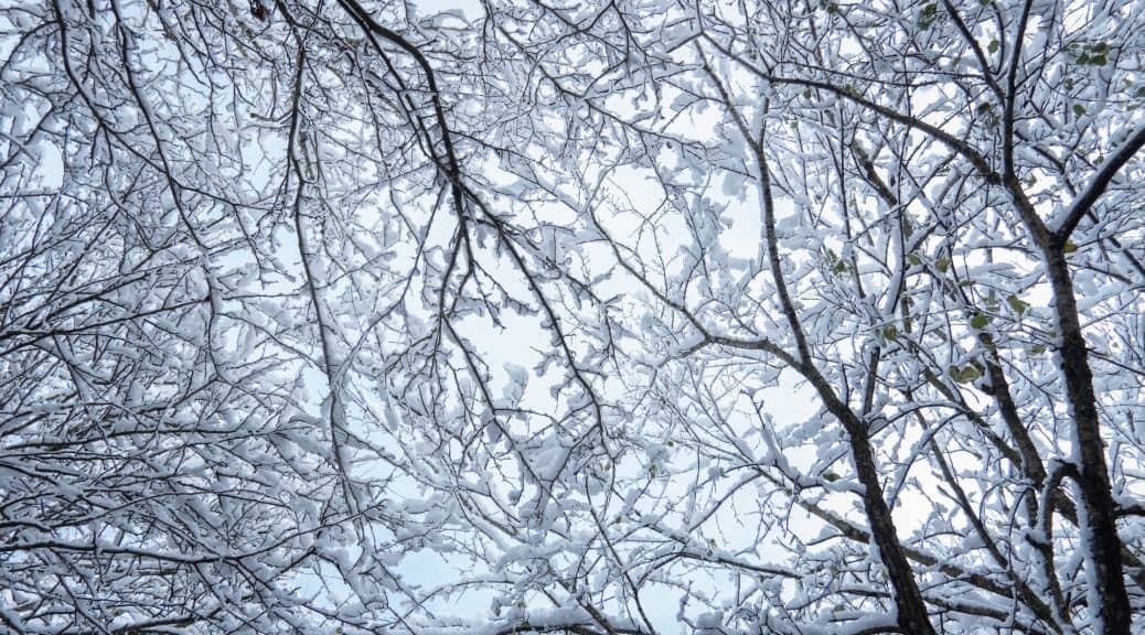 St. Joseph's Parish | An inclusive community of faith